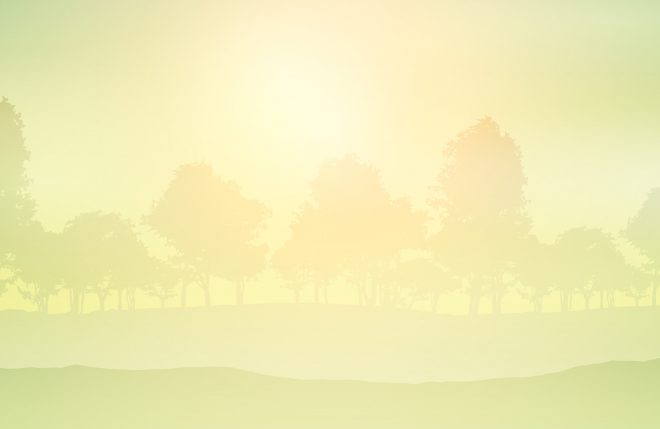 North East Fallen Stock | North East Scotland | UK